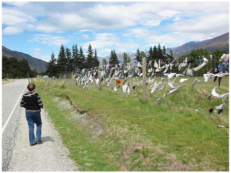 The Cardrona Bra Fence of New Zealand | Amusing Planet